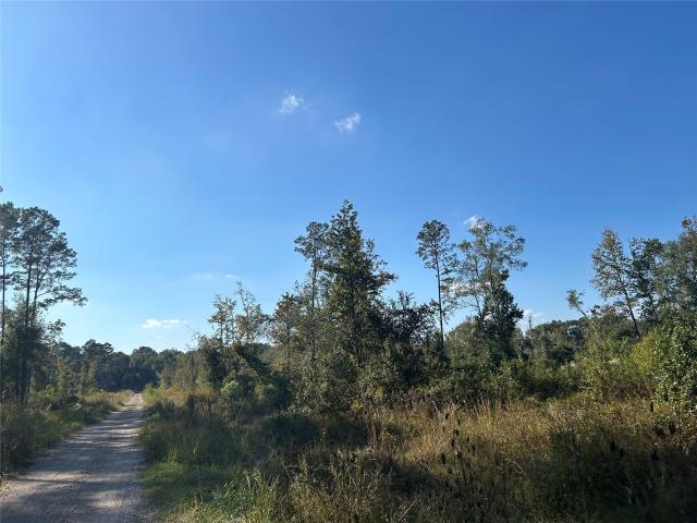 Lot 16 County Road 2235