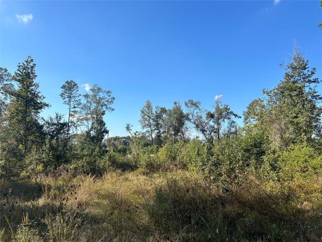 Lot 16 County Road 2235, Cleveland, TX 77327 | MLS #20823