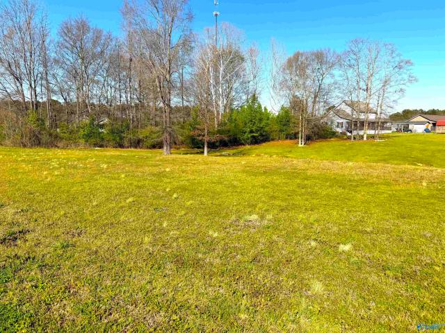 Lot 16 County Road 459