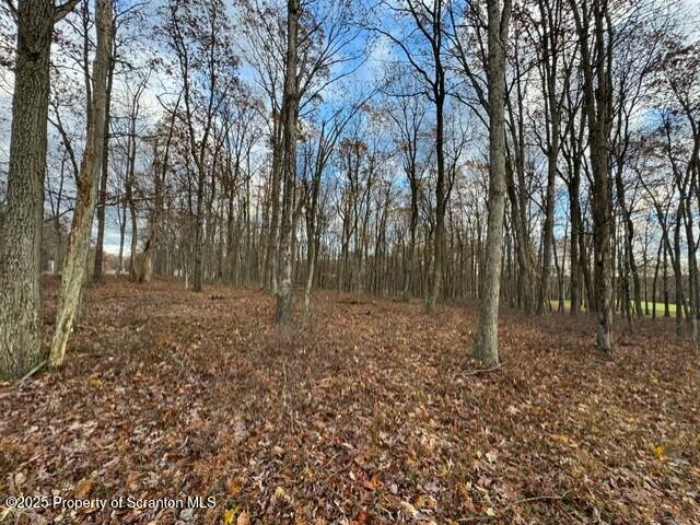 Lot 16 Crooked Stick Ln, Hazleton, PA 18202 | MLS #SC255974