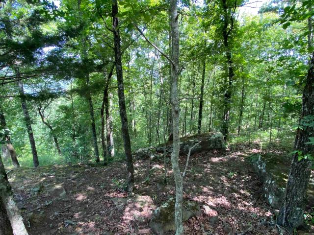 Lot 16 Bluff Drive