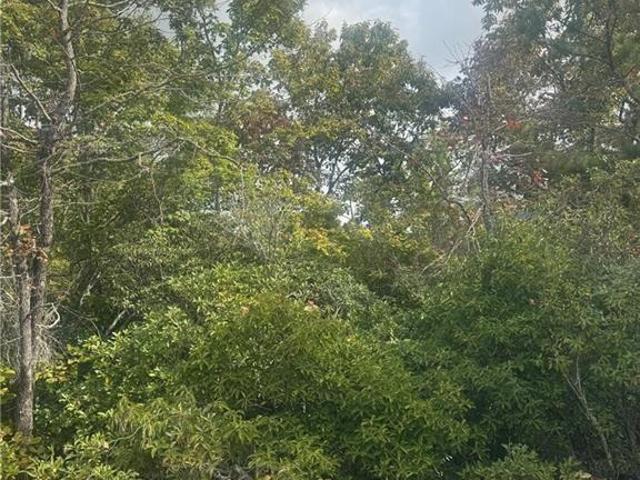 Lot 16 Brown Hawk, Clayton, GA 30525 | MLS #7752