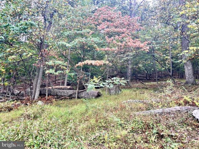 Lot 16 Dewdrop Lane