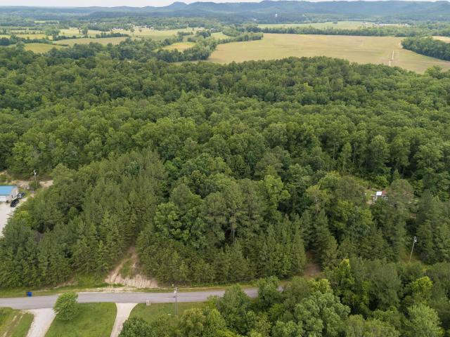 Lot 16 Evergreen Drive