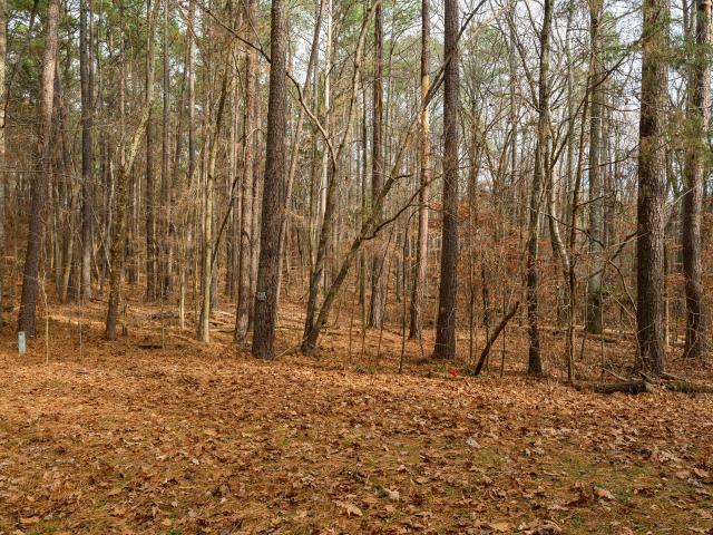 Lot 16 Foxlair Rd, Chapel Hill, NC 27516 | MLS #10135