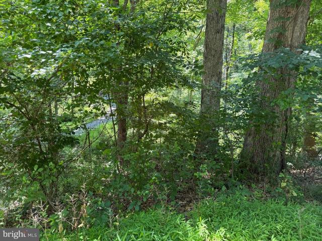 Lot 16 High Knob Court