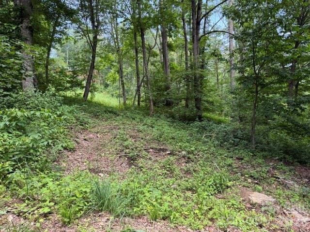 Lot 16 Iga Trail # 16