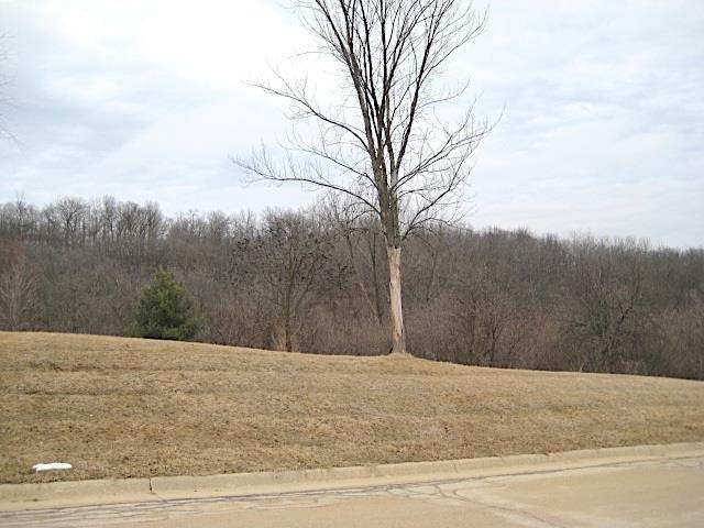 Lot 16 Ohmer Ridge Subdivision
