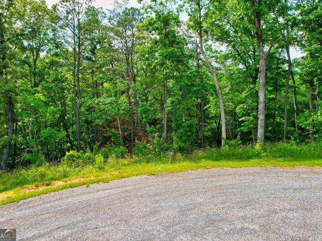 LOT 16 Lake Top Lane