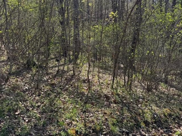 Lot 16 N High Meadows Drive