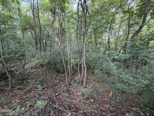 Lot 16 Sunrise Boulevard