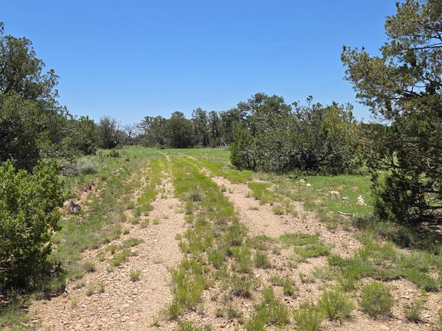 Lot 16 Swayback Trail