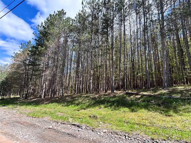 Lot 16 Putnam Road
