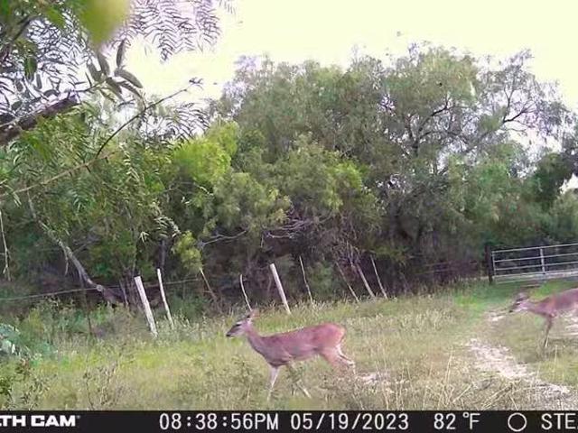 Lot 16 Rancho Del Rio, Del Rio, TX 78840