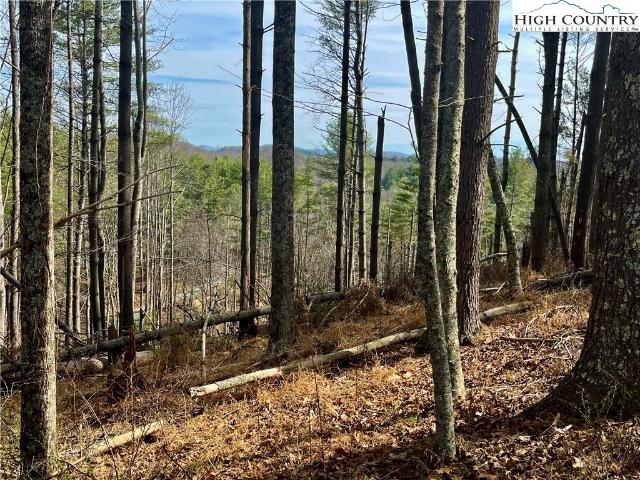 Lot 16 Woodlands Drive