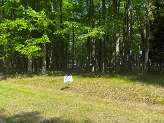 Lot 16 Towering Oaks Drive