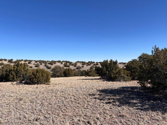 Lot 174 Pinon Springs