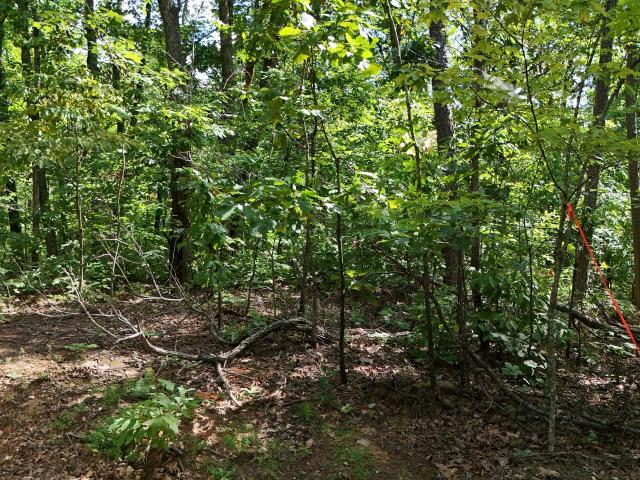 LOT 175 Mountain Crest Drive