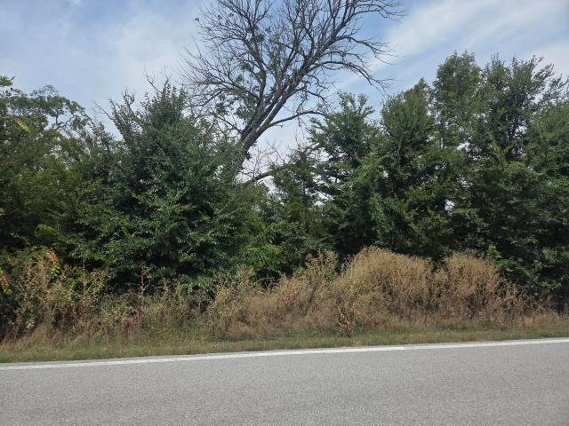 Lot 175 Black Forest Lane