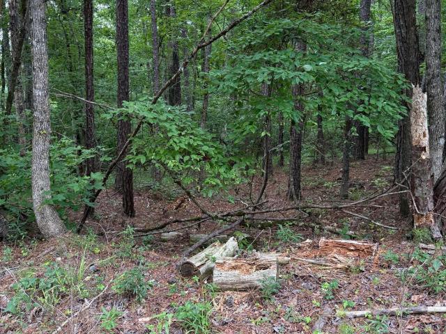 LOT 177 Laurel Way