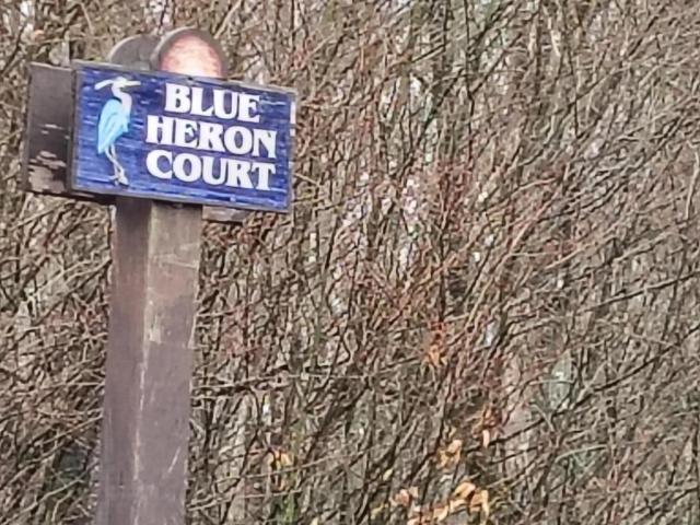 Lot 178 Blue Heron Court