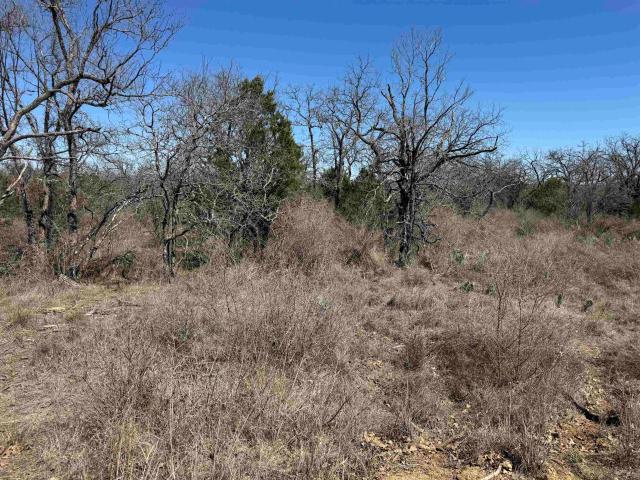 Lot 179 Longmont Dr, Kingsland, TX 78639 | MLS #172279