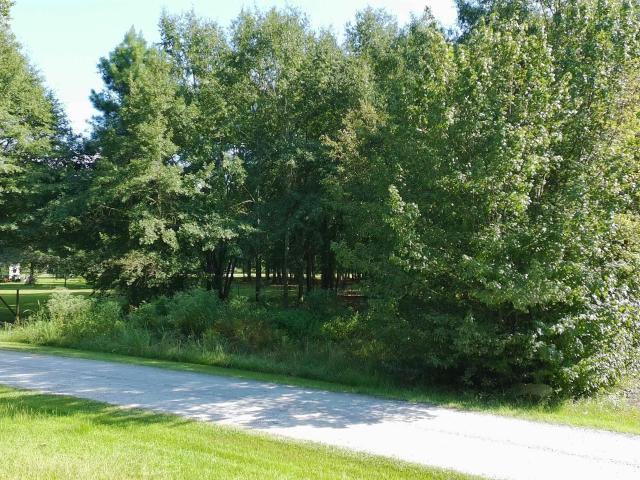 Lot 171 County Road 1011