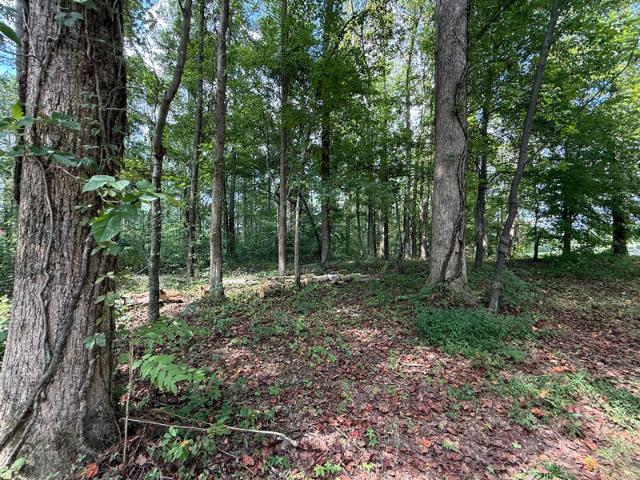 Lot 172 Stillwater