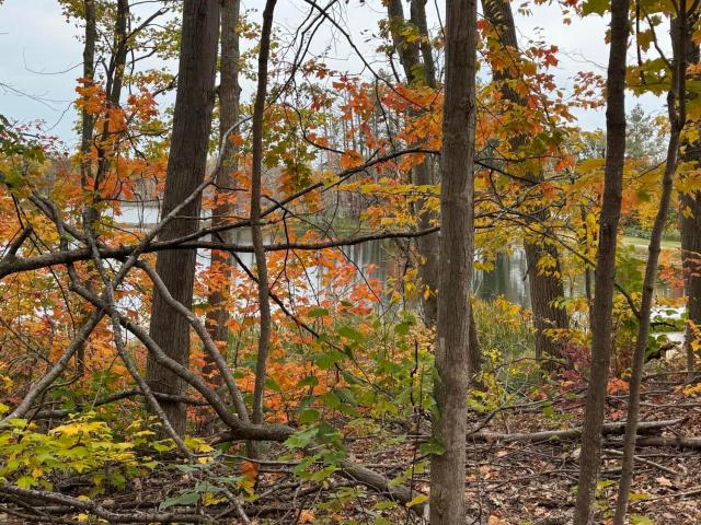 Lot 17 E Vail Lane