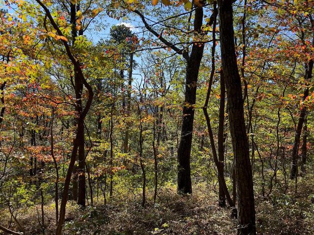 Lot 17 Fox Trail, Winchester, VA 22602 | MLS #VAFV2012 | Compass