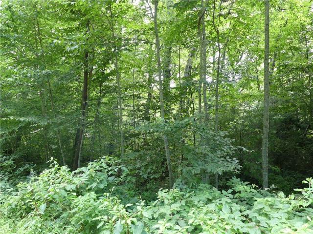 Lot 17 Farm Loop Road