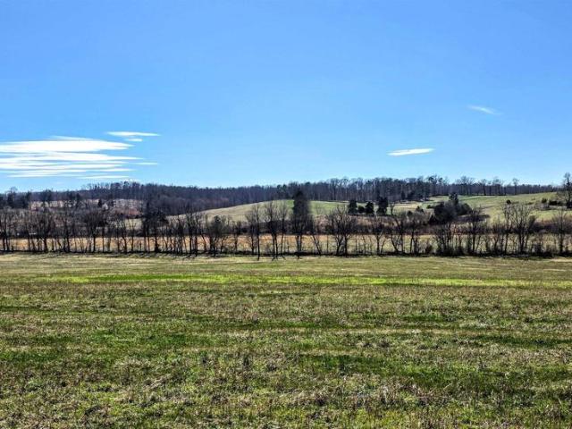 Lot 17 Fredericksburg Rd # 17