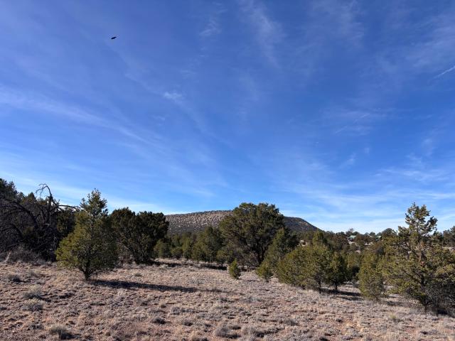 Lot 17 Horse Peek Ranches