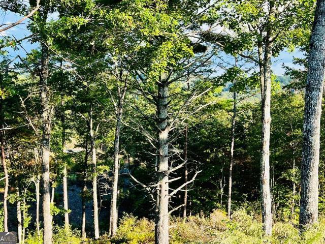 LOT 17 Mountain Laurel Ridge
