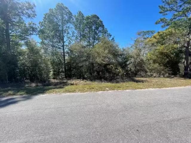 Lot 17 Malauka Loop, Ocklawaha, FL 32179 MLS A4648959