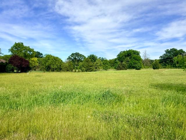 Lot 17 Savannah Court
