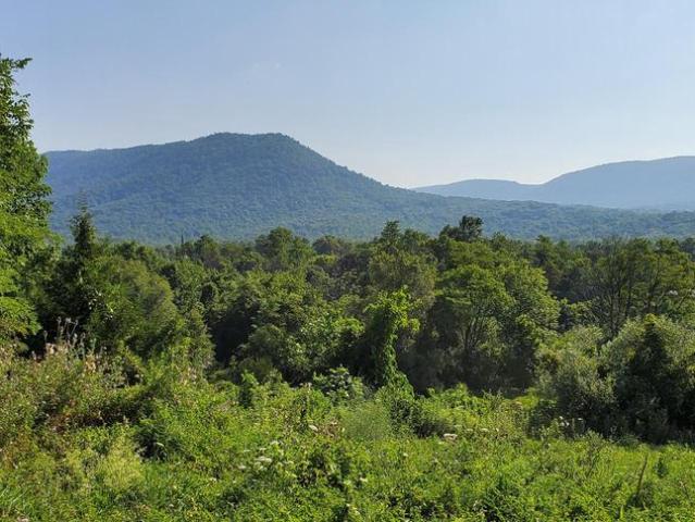 Lot 17 Sunrise Lane
