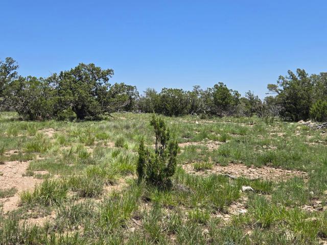 Lot 17 Swayback Trail