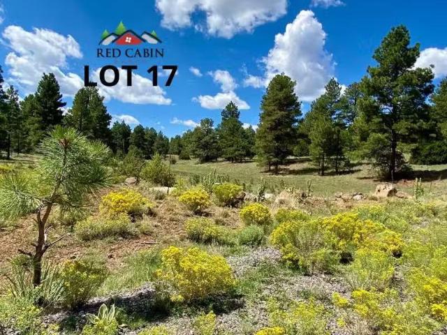 Lot 17 Red Cabin Ranch, Vernon, AZ 85940 MLS 253381