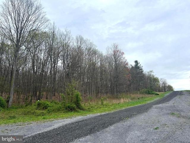 Lot #17 Ridge Way Drive