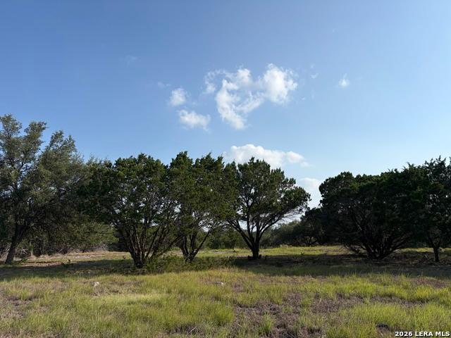 LOT 17 Rio Lantana