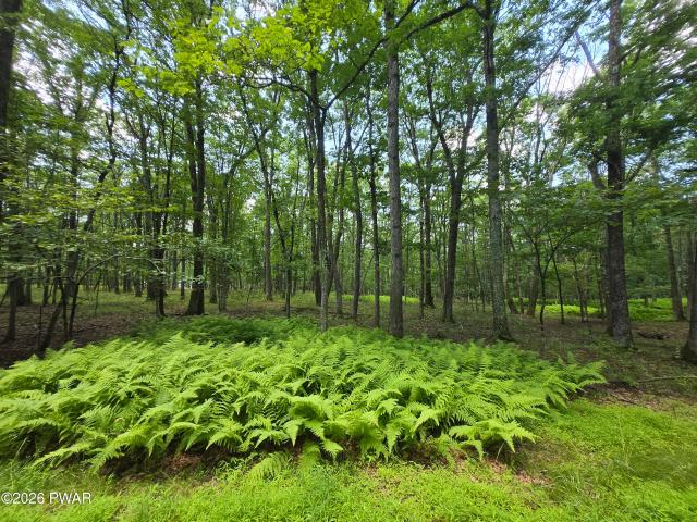 Lot 17 Woodledge Hills Drive
