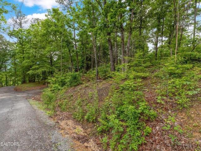 Lot 17 Whipoorwill Hill Way, Sevierville, TN 37862 MLS# 1263444