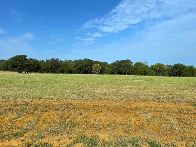Lot 17 Windrose Loop, Gordonville, TX 76245 | MLS #20674 | Compass