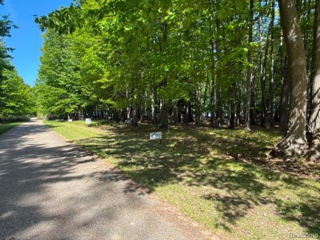 Lot 17 Towering Oaks Drive