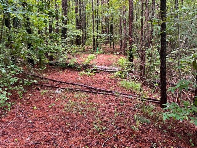 Lot 17a old forest drive # 17a
