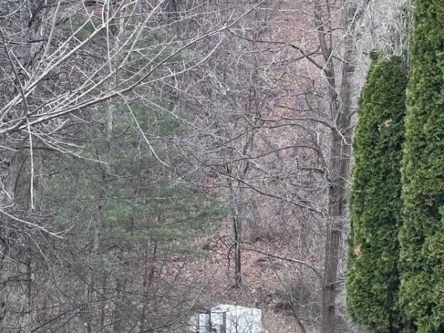 Lot #184 Sleigh Dr, Cross Junction, VA 22625 | MLS #VAFV2040