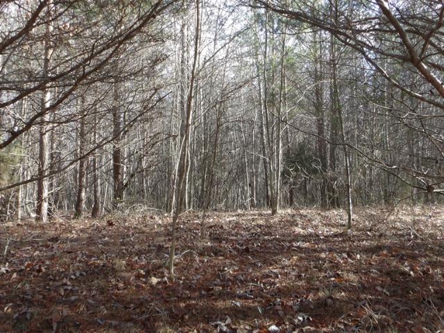Lot 185 Meadow Lane