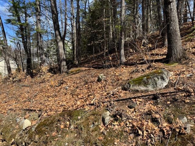 Lot 185 Nutter Drive # Map 71, Lot 185