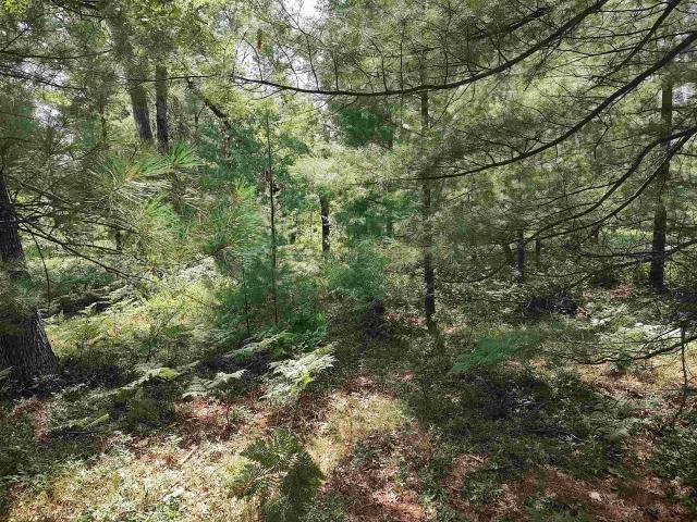 Lot 186 Winterset Drive # Lot: 186